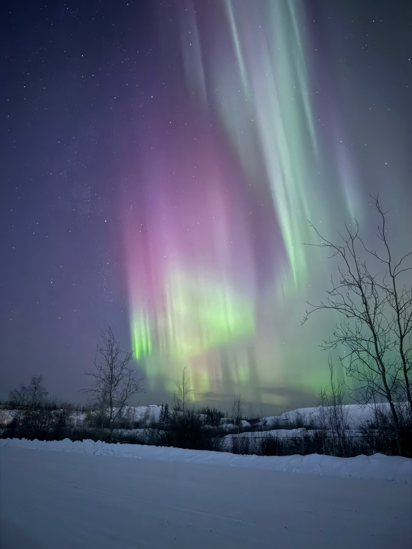Yellowknife Aurora FAQ 2026 | Best Viewing Times & Tips